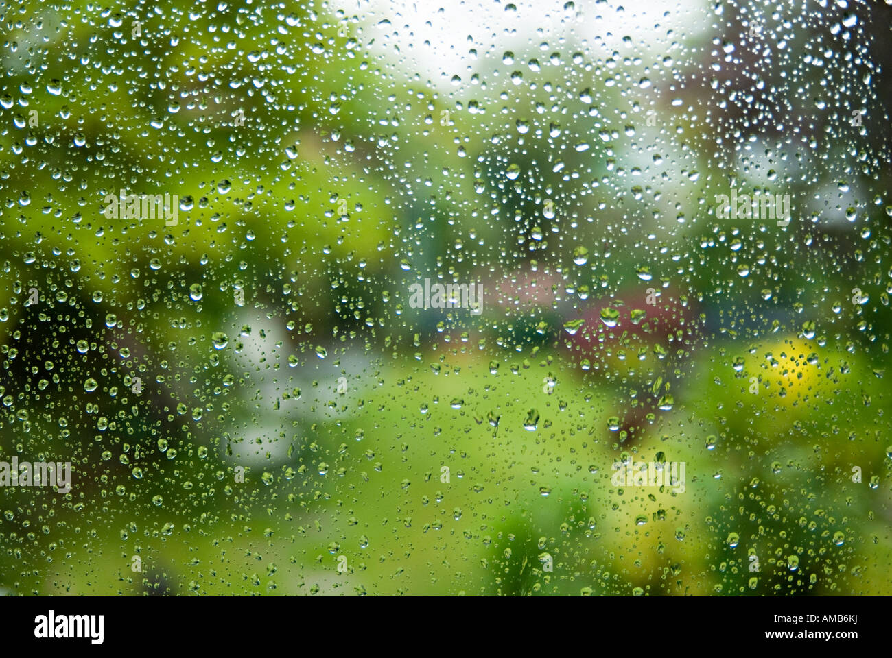 view looking out of a window focused on rain drops with a dominant ...