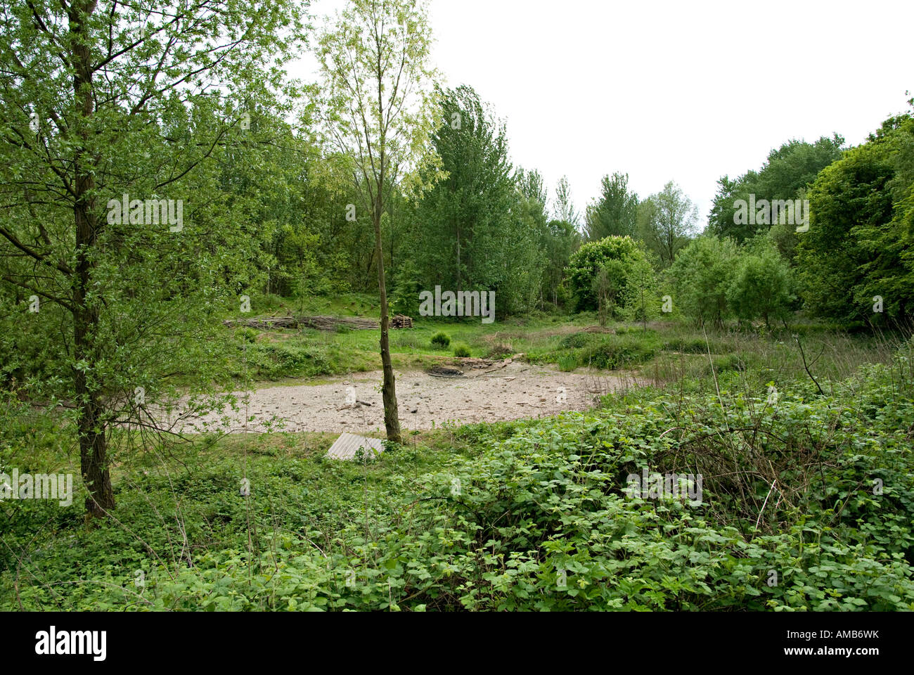 views of baggeridge country park in the west midlands Stock Photo - Alamy