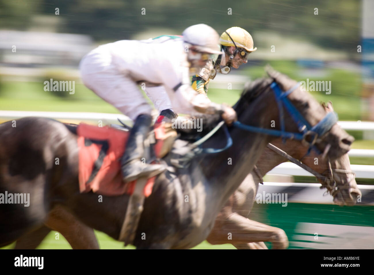 Jockeys and horses race at the Saratoga Springs race track USA August ...