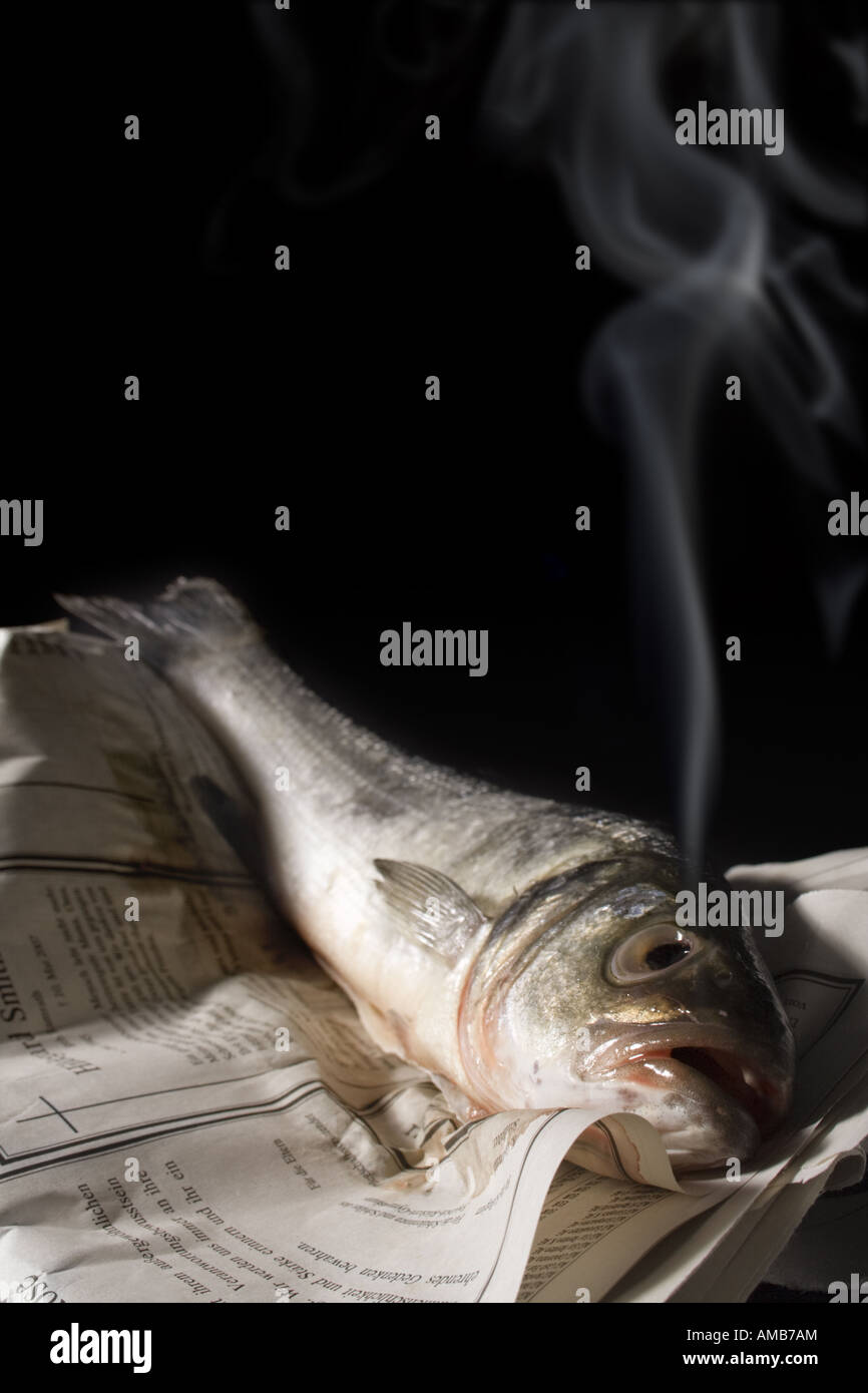 sea bass on old newspaper, black background, digitally altered to ...