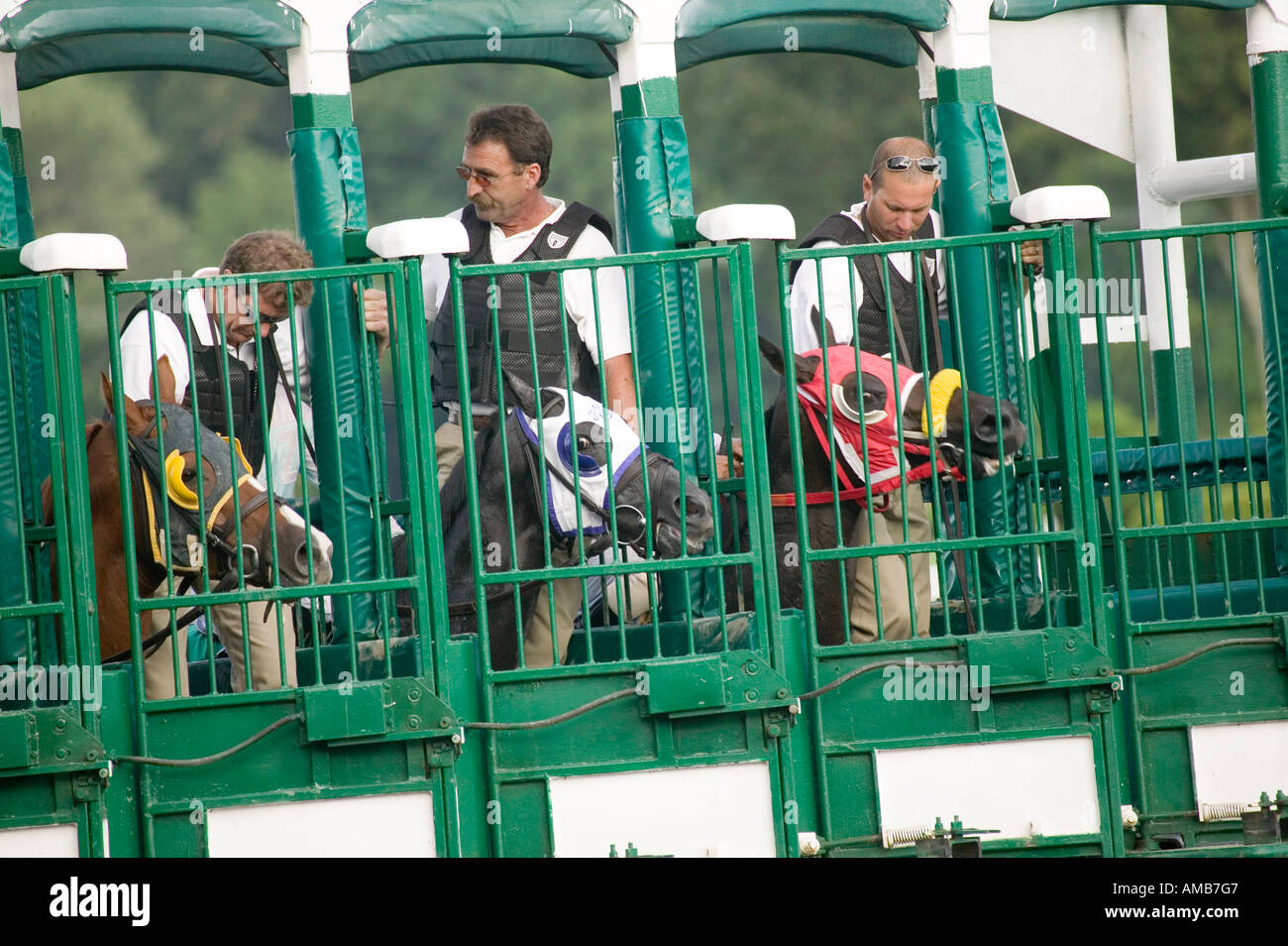 Horses starting race gates hi-res stock photography and images - Alamy