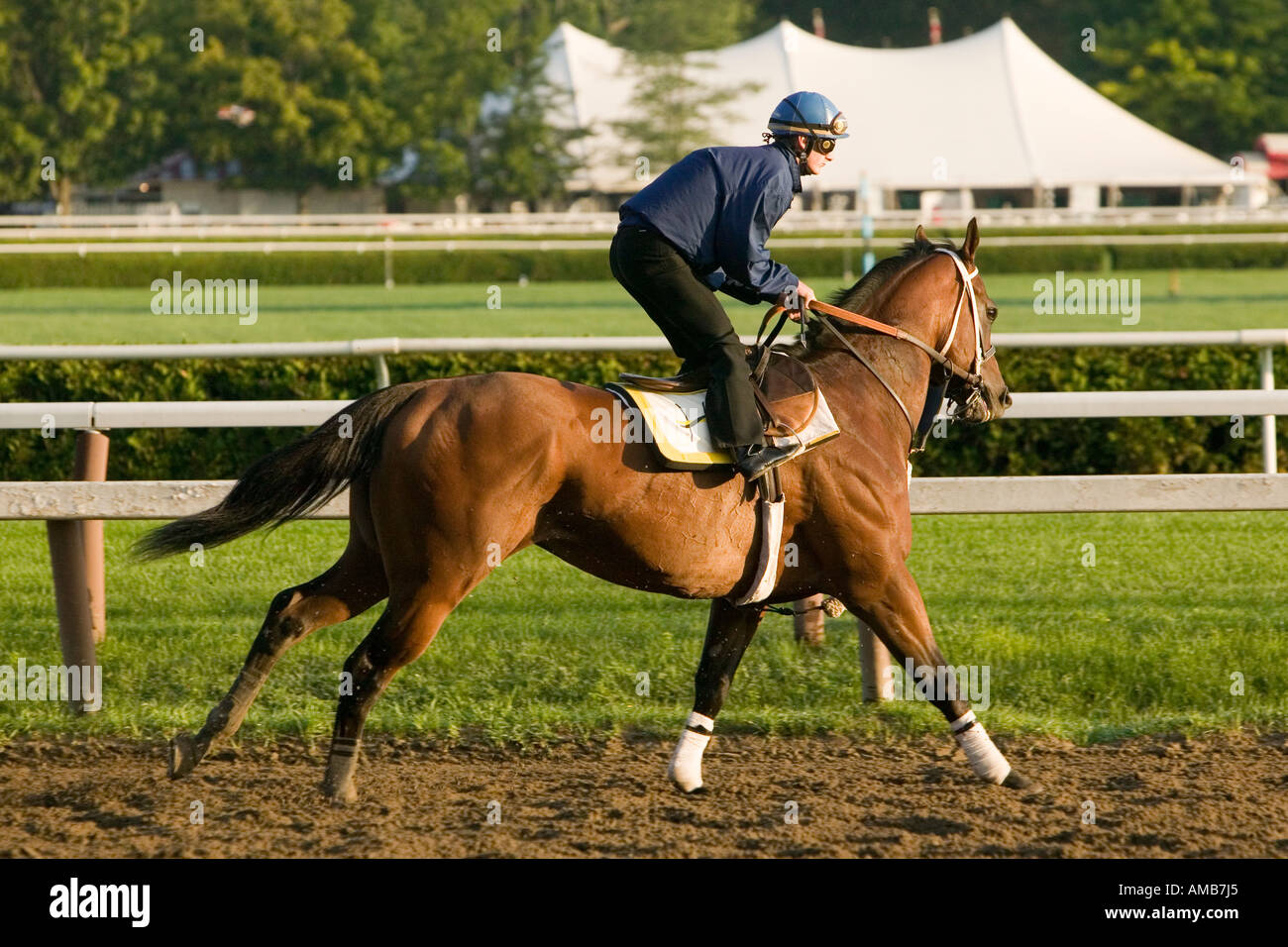 Sport horse racing action jockey horseracing hi-res stock photography ...