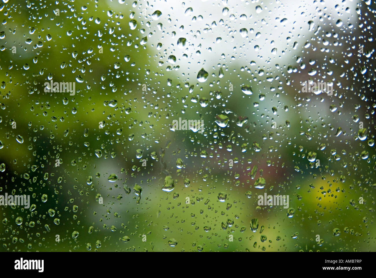 Window dew drops looking out hi-res stock photography and images - Alamy