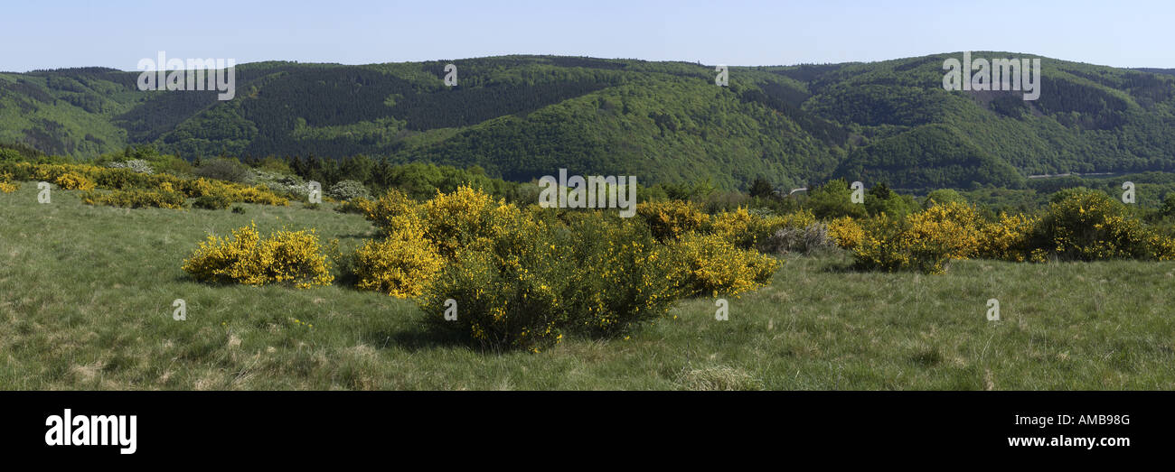 Dreiborn plateau hi-res stock photography and images - Alamy