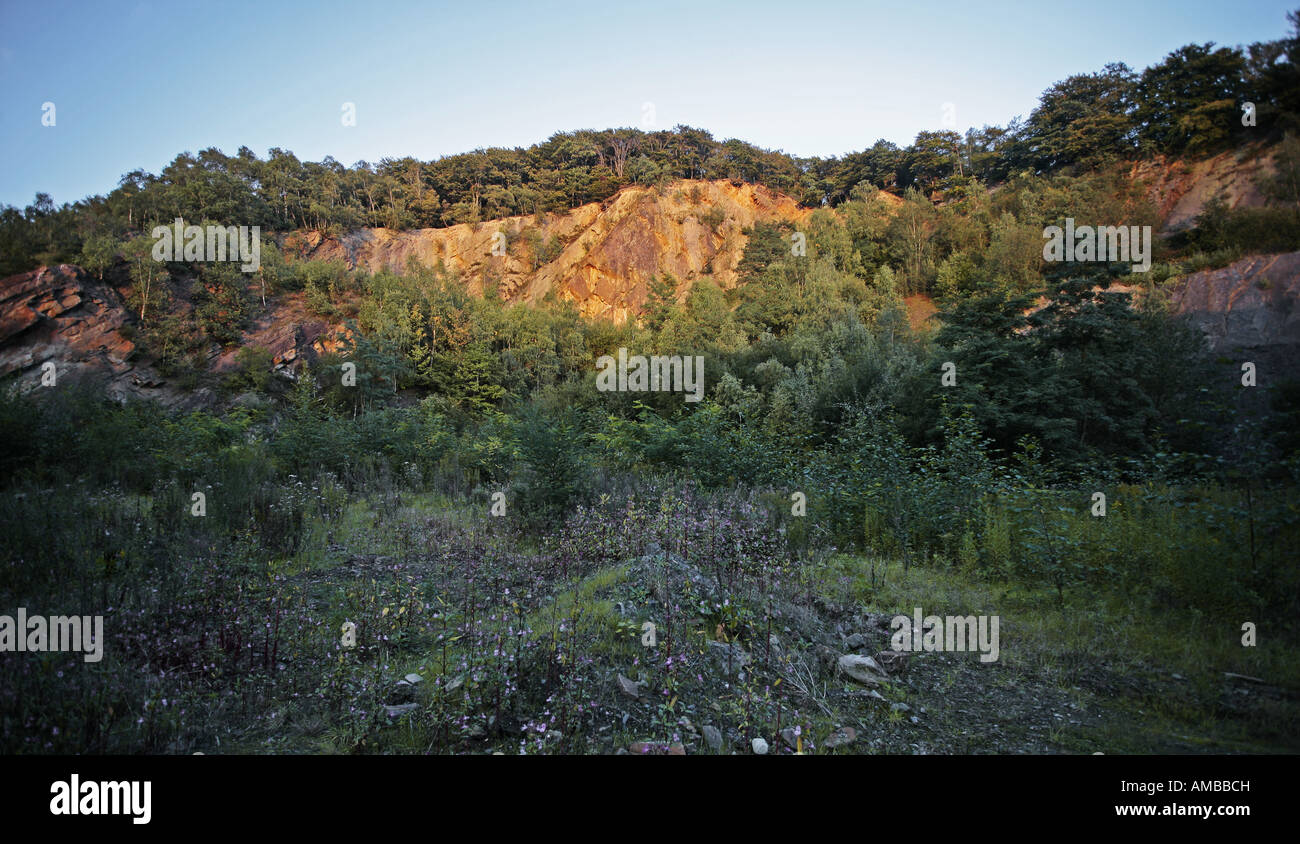 outcrop of the stone pit Rauen, Germany, North Rhine-Westphalia, Ruhr ...