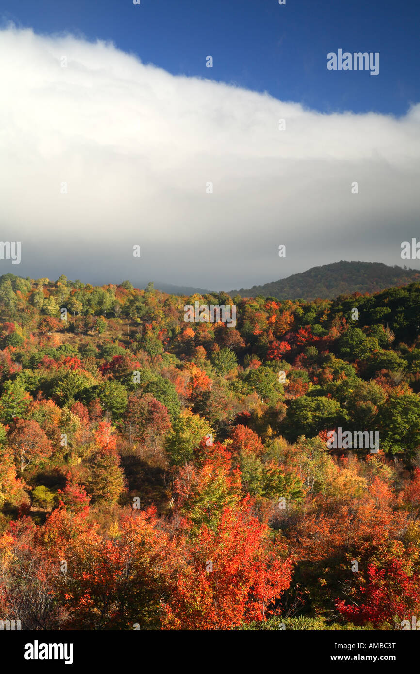 Autumn color on an October morning along the Blue Ridge Parkway in ...