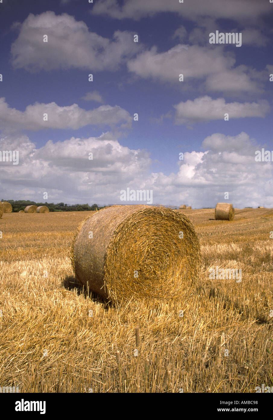 Chaff bales hi-res stock photography and images - Alamy