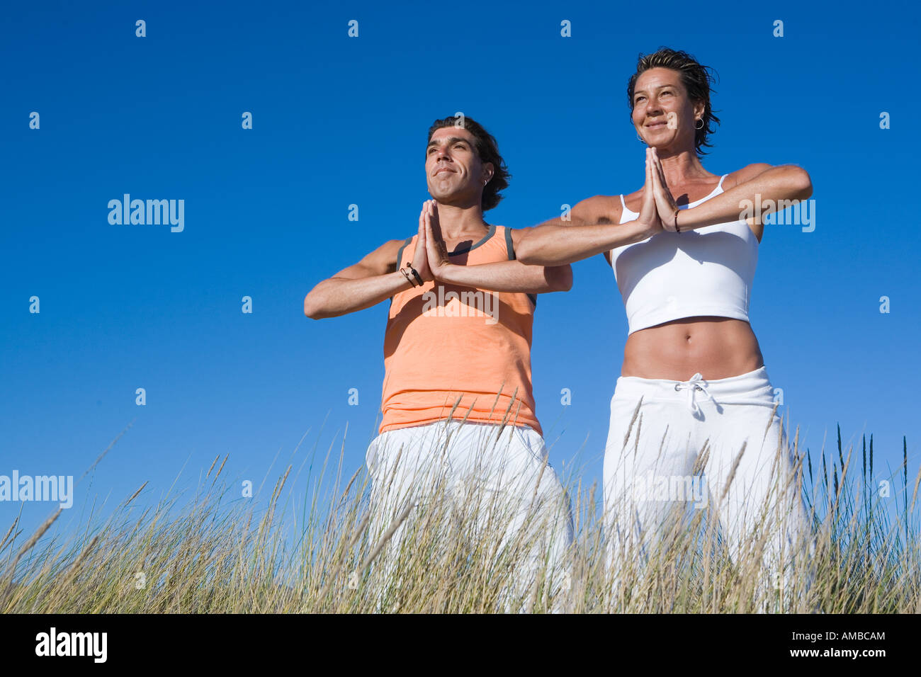 Couple doing yoga in nature Stock Photo - Alamy