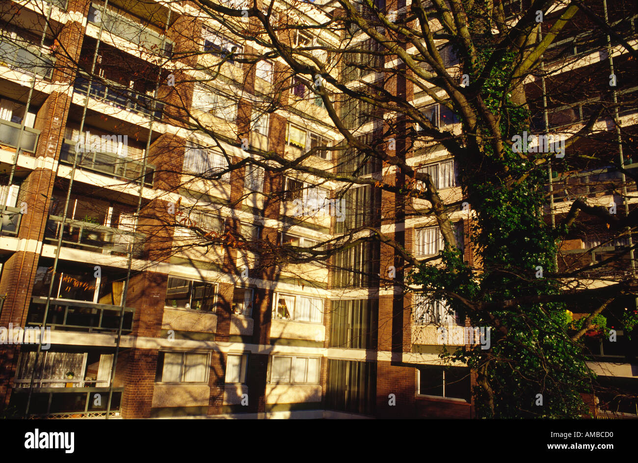 Apartment building with large tree Stock Photo - Alamy