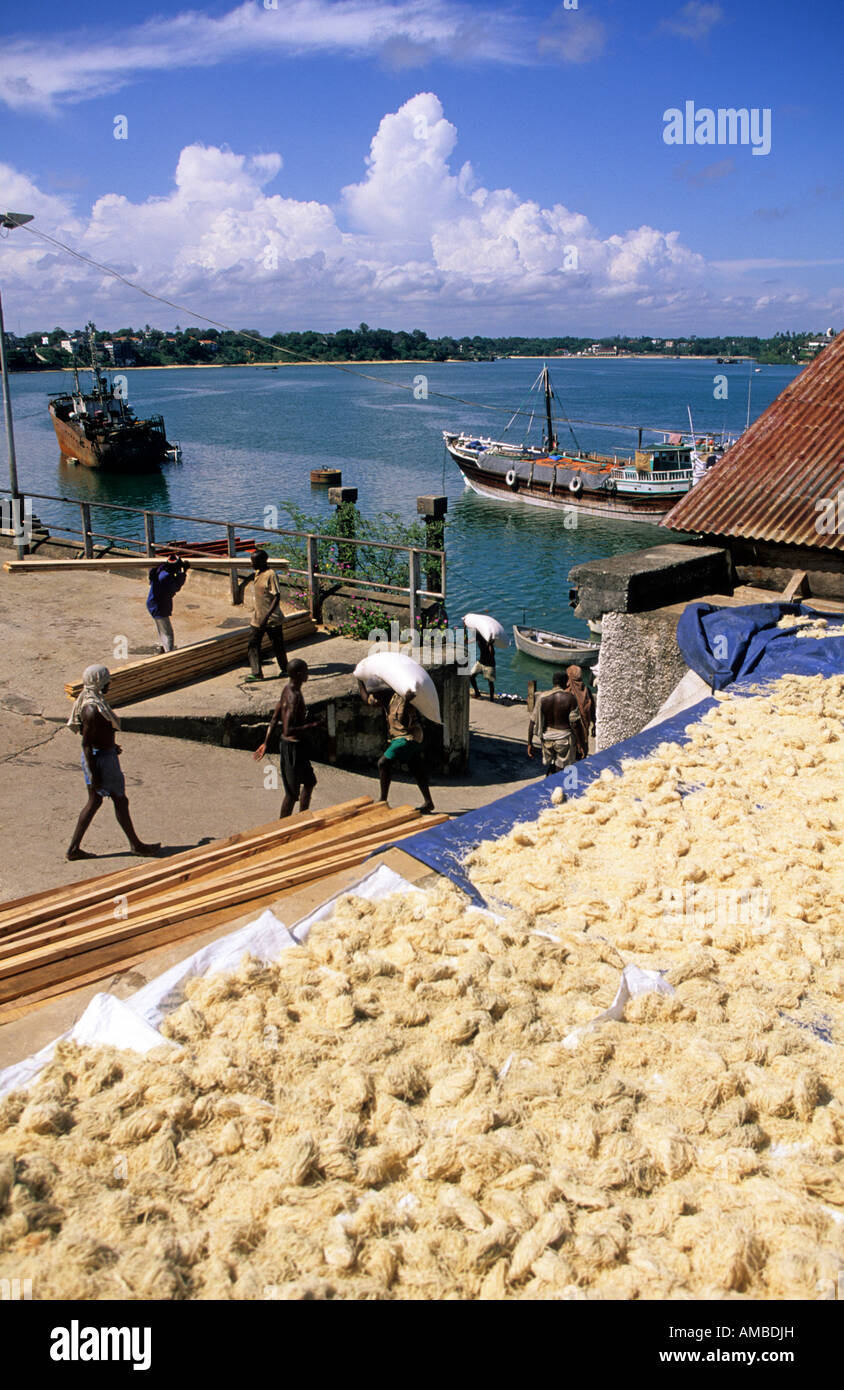 Jute drying hi-res stock photography and images - Alamy