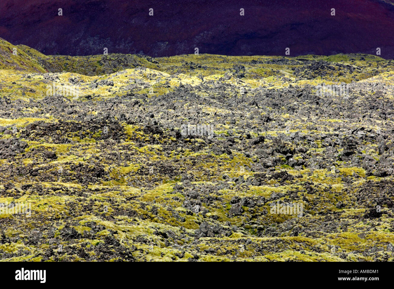 Old lava field. Iceland Stock Photo - Alamy