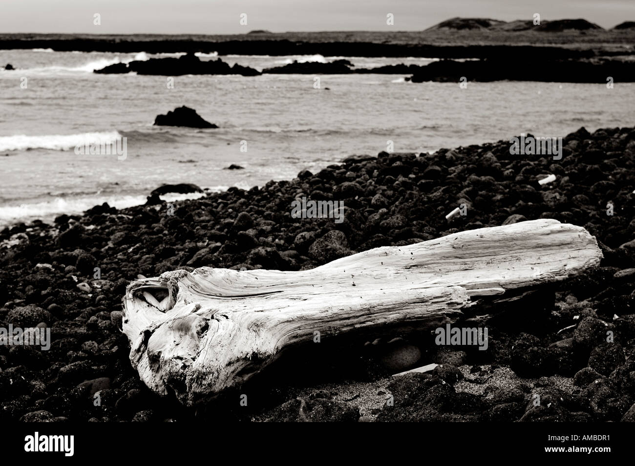 Log lying on beach Stock Photo - Alamy