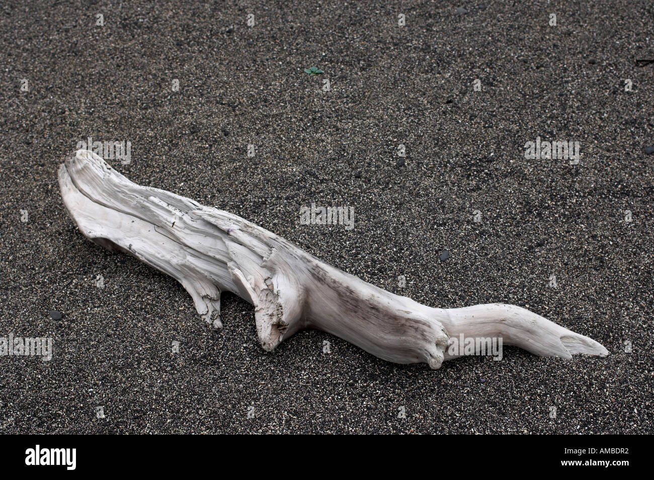 Log lying on beach Stock Photo - Alamy