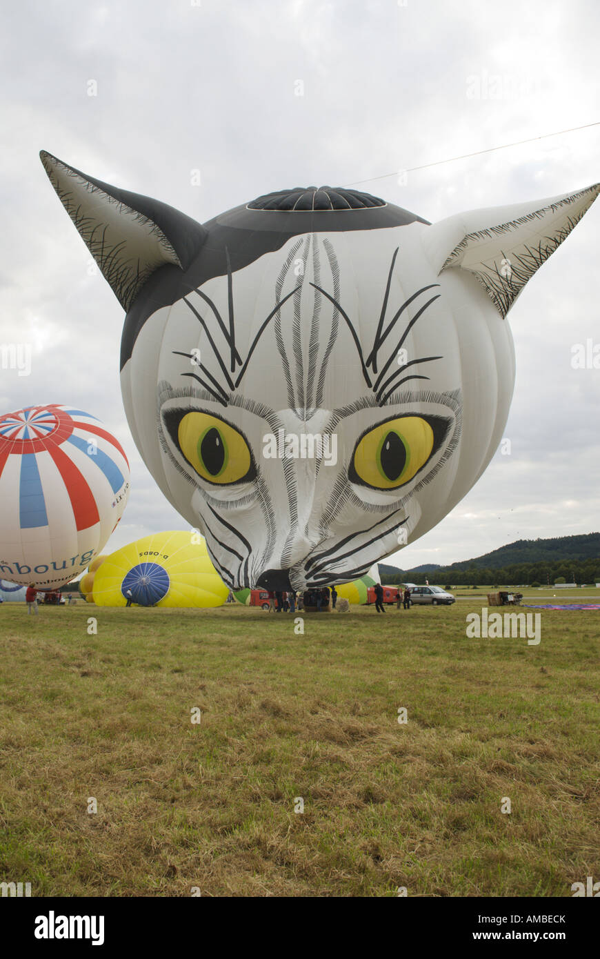 Hot air balloon - in form of the face of a cat: Inflation of the ...