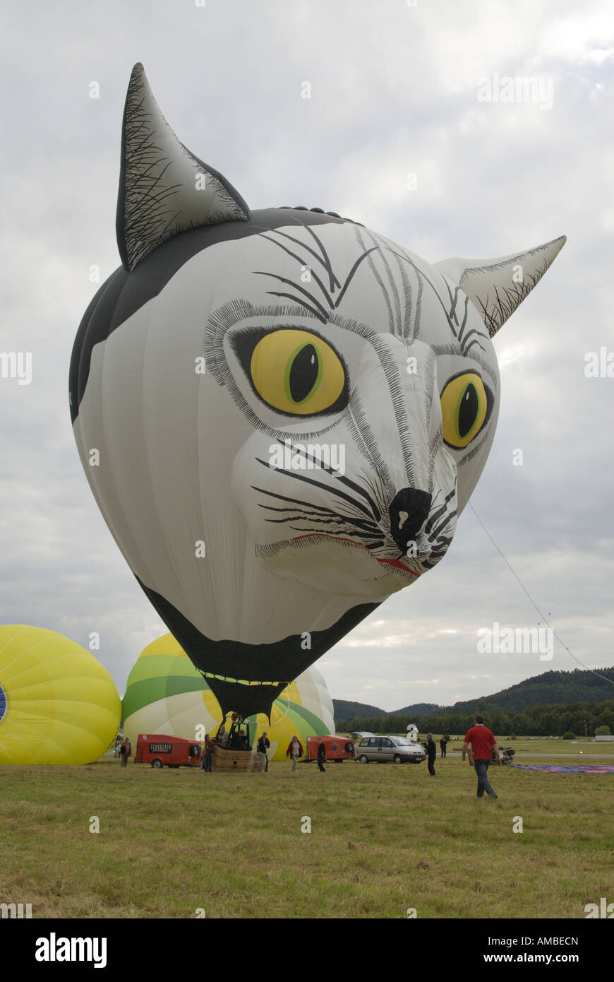 Hot air balloon - in form af the face of a cat, Germany, Rhineland ...