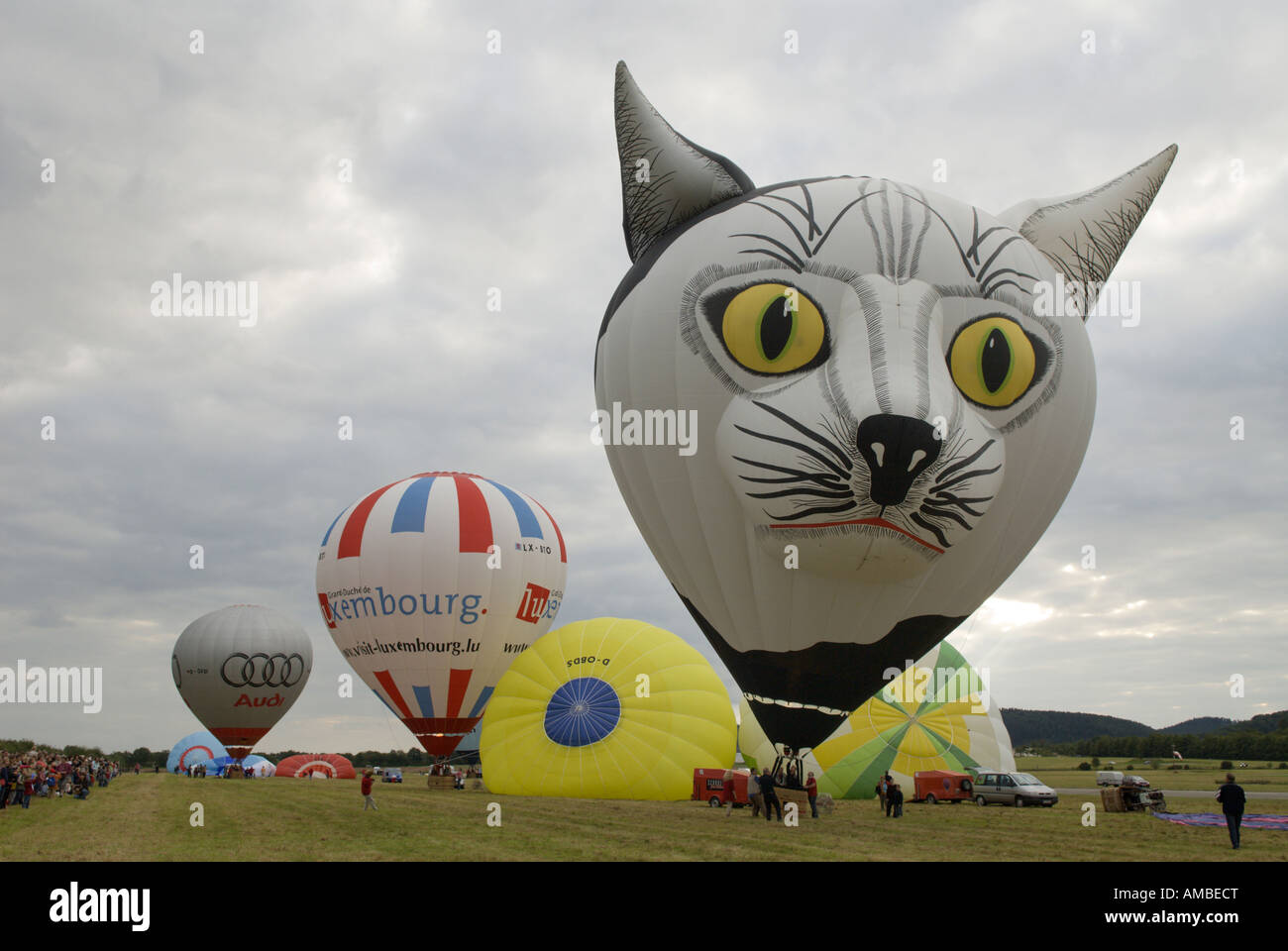 Cat in a hot air balloon hi-res stock photography and images - Alamy