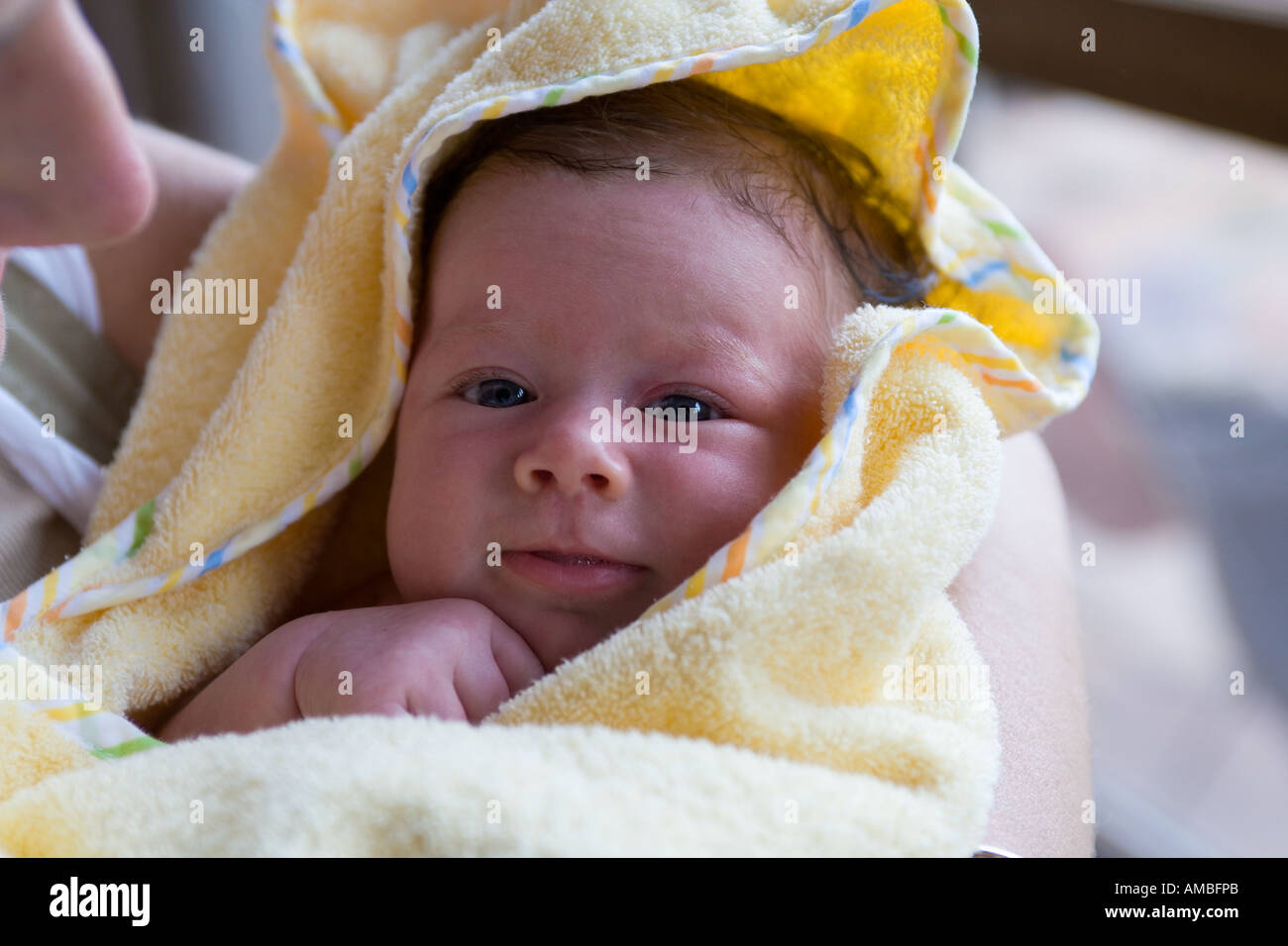 Newneww hi-res stock photography and images - Alamy