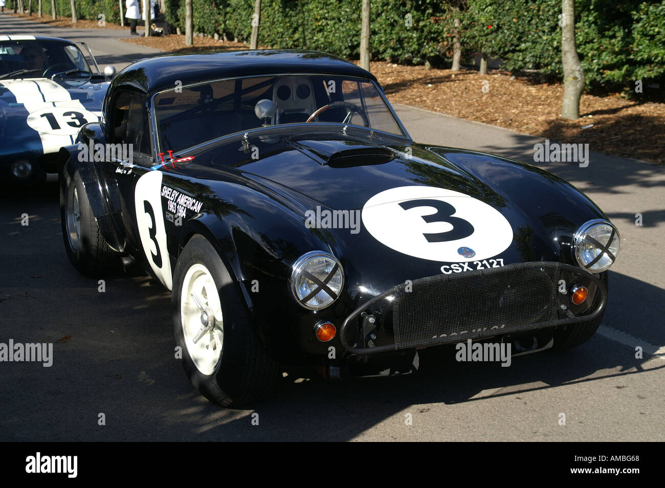 Ac cobra badge hi-res stock photography and images - Alamy
