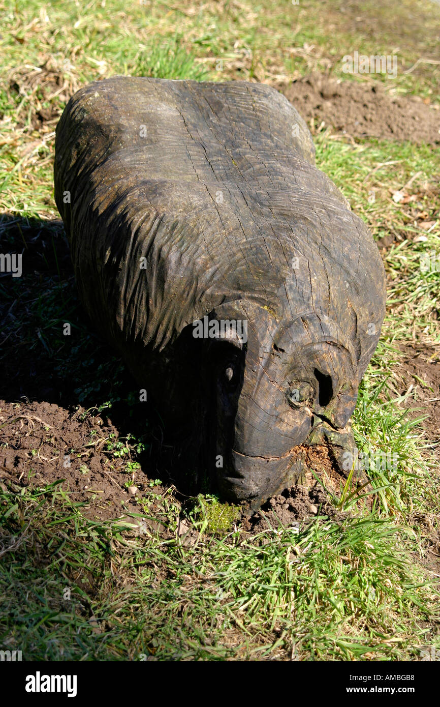 Tree stump and feature hi-res stock photography and images - Alamy