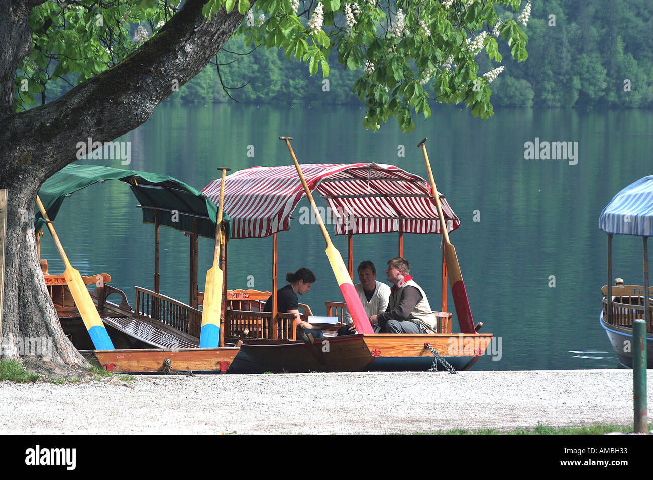 Plentas on Lake Bled Slovenia Stock Photo - Alamy