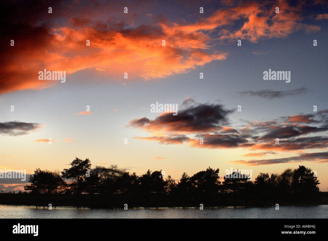 HATCHET POND, NEW FOREST, ENGLAND Stock Photo - Alamy