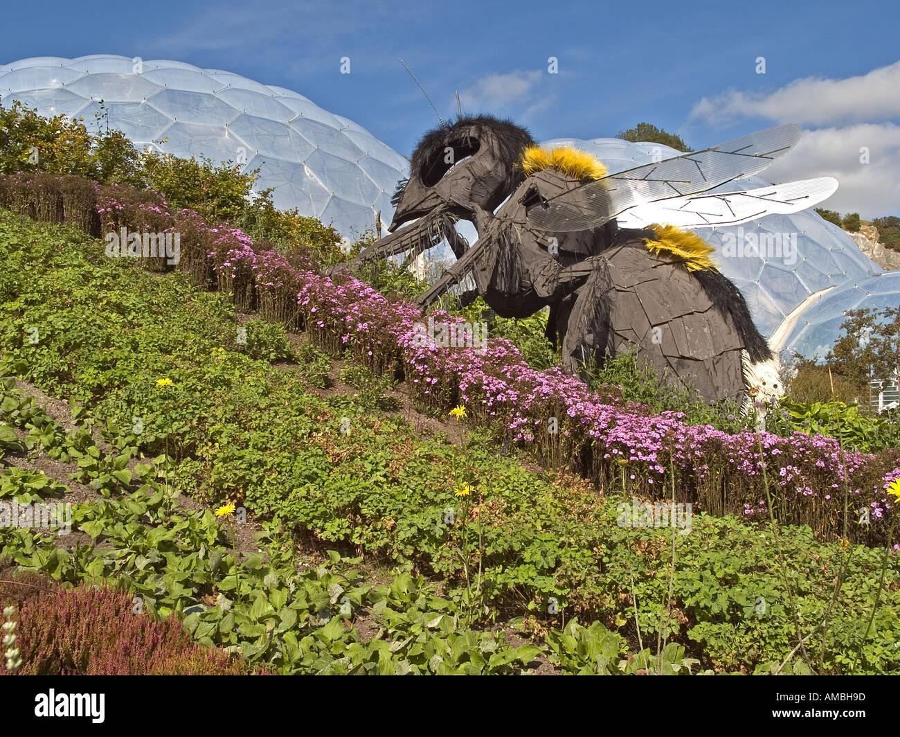 Bee Sculpture Eden Project Cornwall UK Stock Photo - Alamy