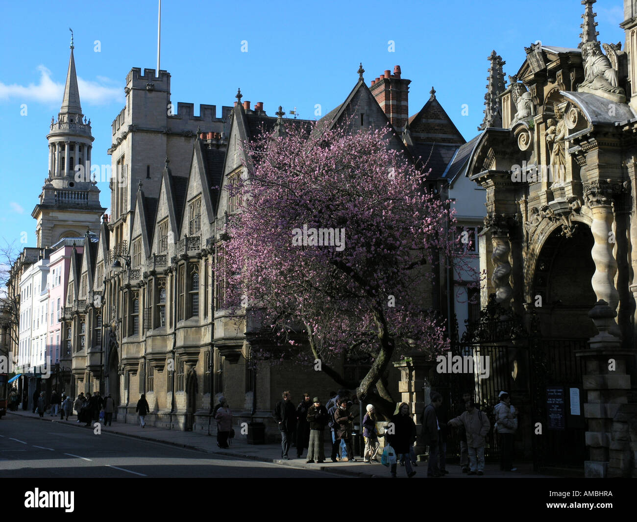 spring blossum high street city of oxford university town oxfordshire ...