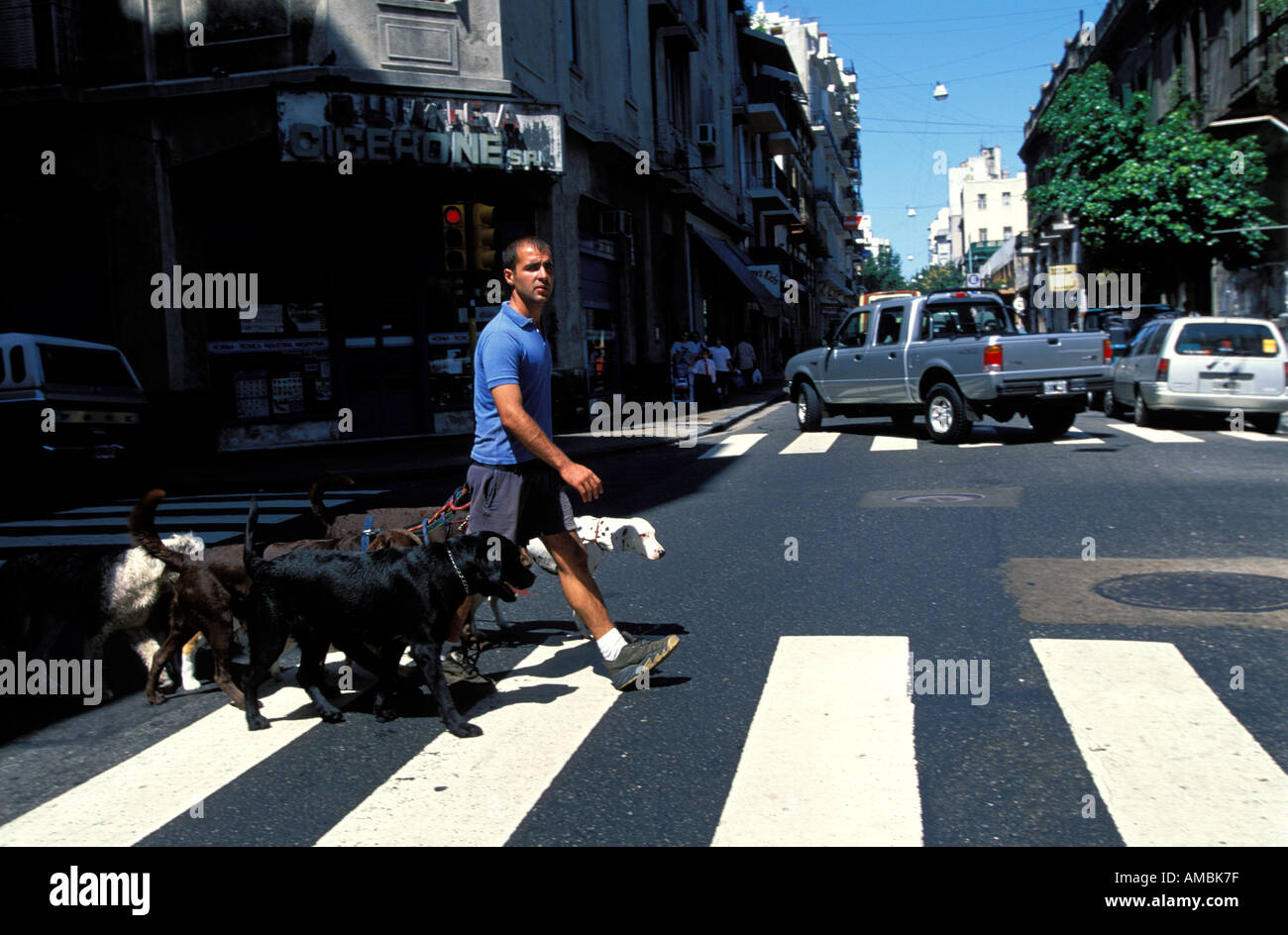 Animal walker hi-res stock photography and images - Alamy