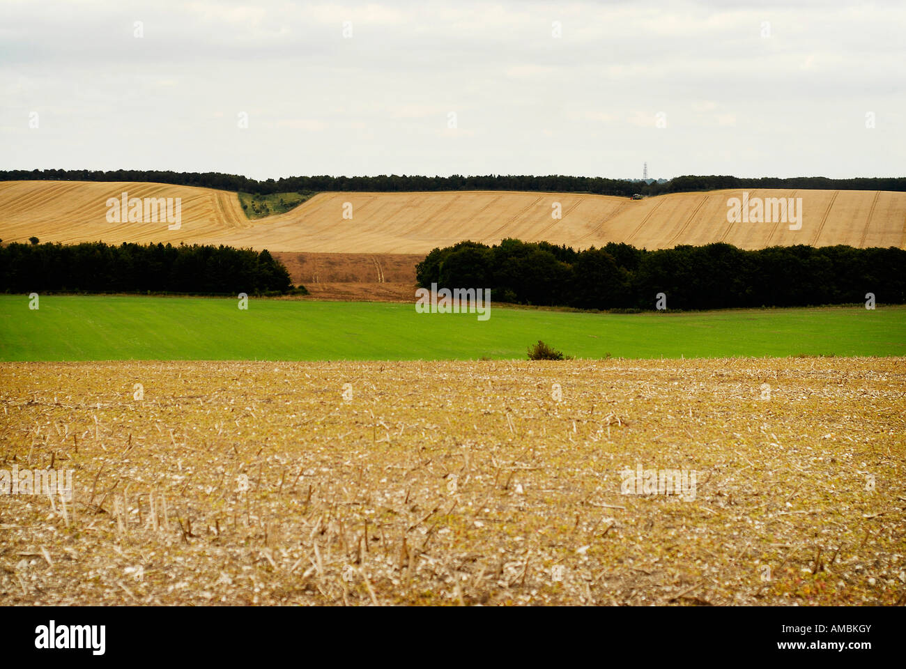 Downland landscape hi-res stock photography and images - Alamy