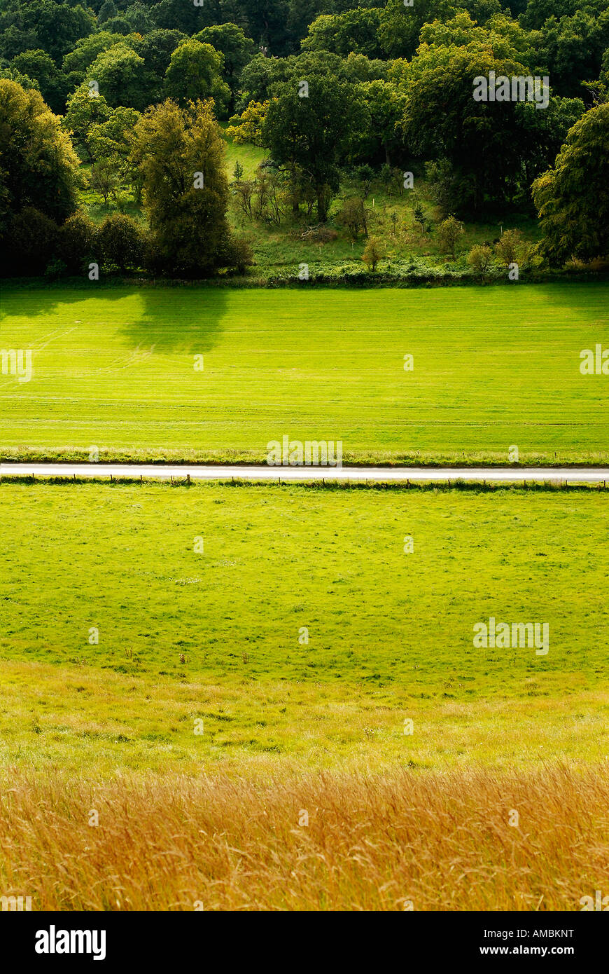 field with a minor road running through it Stock Photo - Alamy