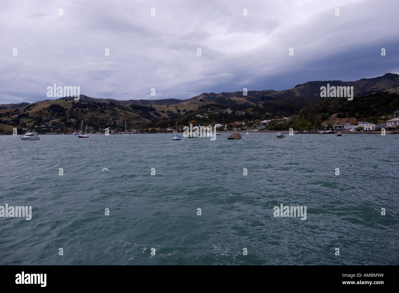Akaroa Harbour New Zealand Stock Photo - Alamy