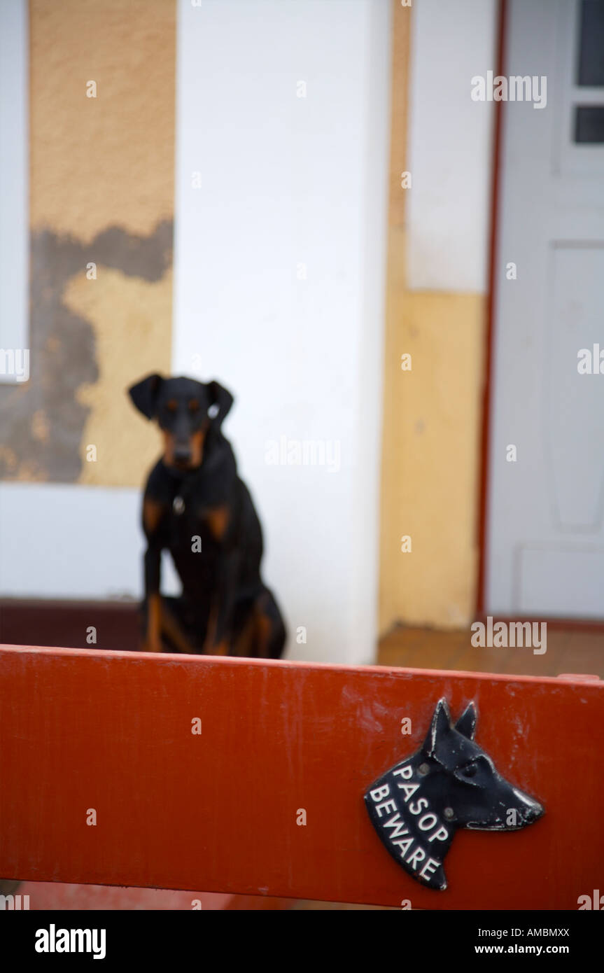 Guard dog outside house in swakopmund Namibia Stock Photo - Alamy