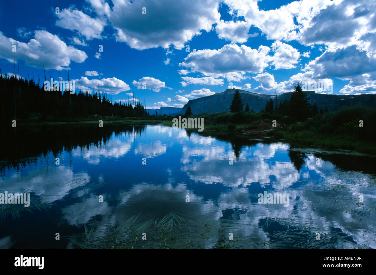 Reflection of clouds in Edge Lake Flattops wilderness area Colorado USA ...