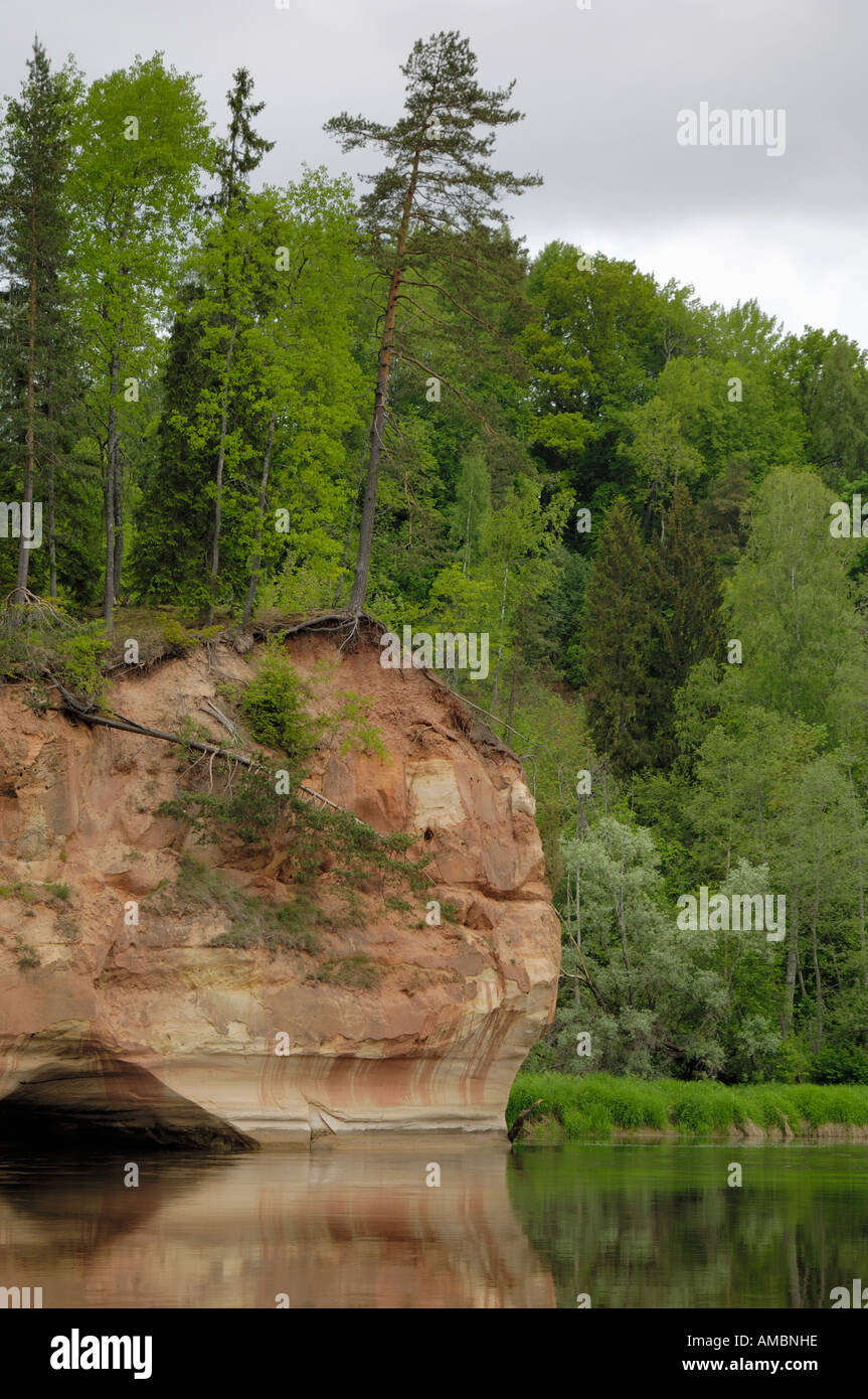 Sandstone cliff alongside the River Gauja, near Ligatne, Gauja National ...