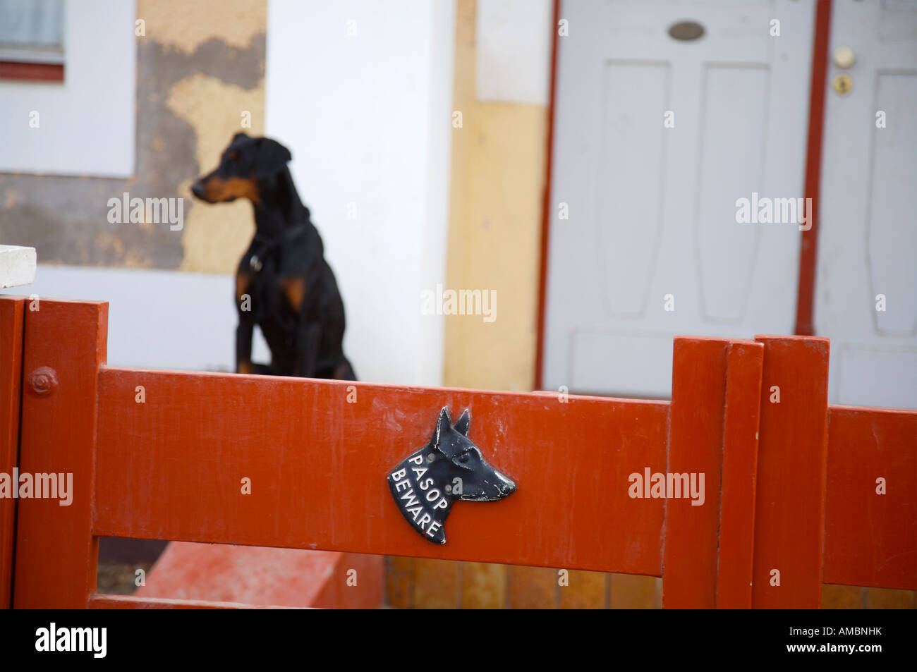Doberman guarding hi-res stock photography and images - Alamy