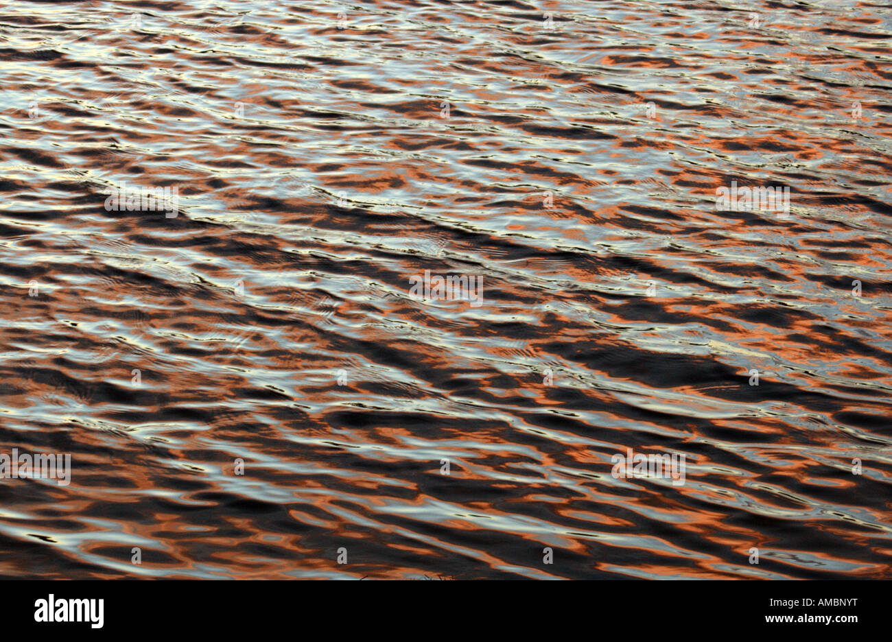 WARM SUNLIGHT REFLECTING ON GENTLE WAVES Stock Photo - Alamy