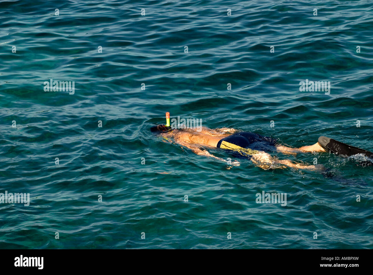 Man snorkeling in the Mediterranean Beirut Lebanon Middle East Asia ...