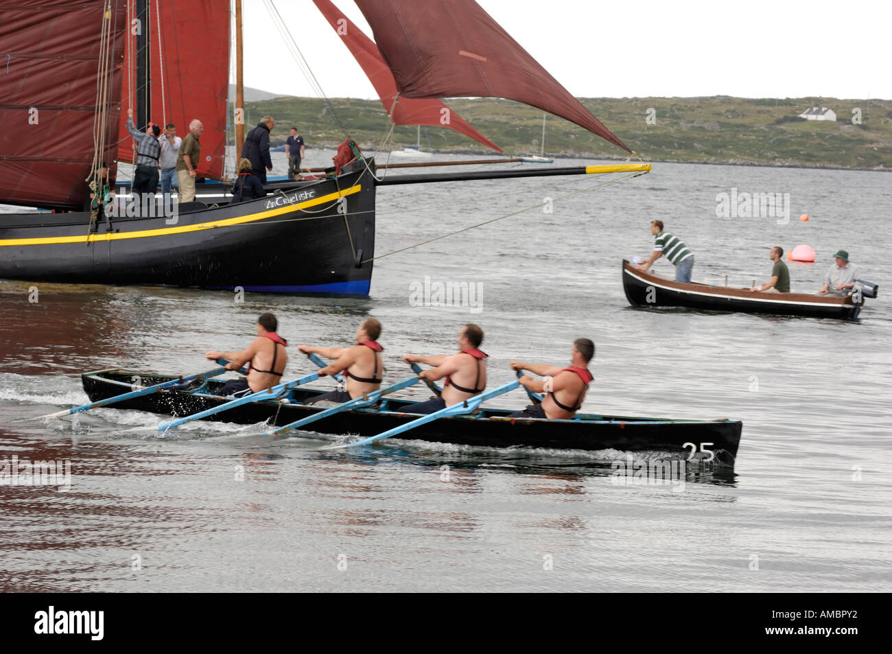 Currach racing at Roundstone Regatta, Connemara, County Galway, Ireland ...