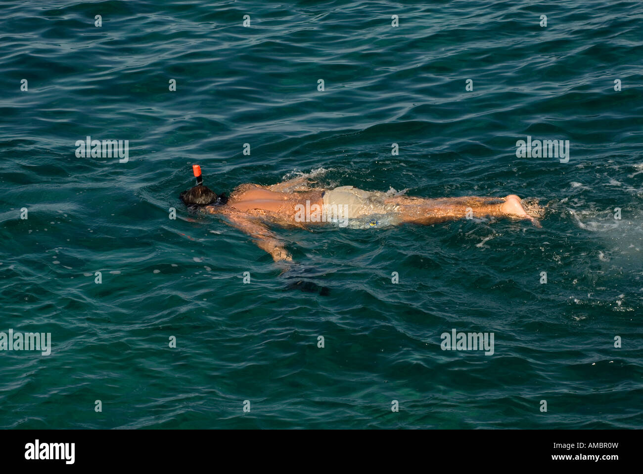 Man snorkeling in the Mediterranean Beirut Lebanon Middle East Asia ...