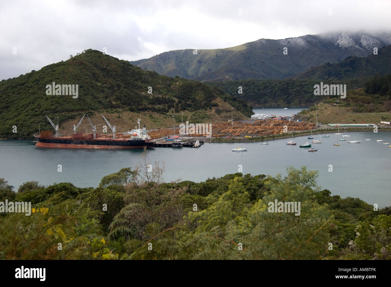 Logging Company Havelock New Zealand Stock Photo - Alamy
