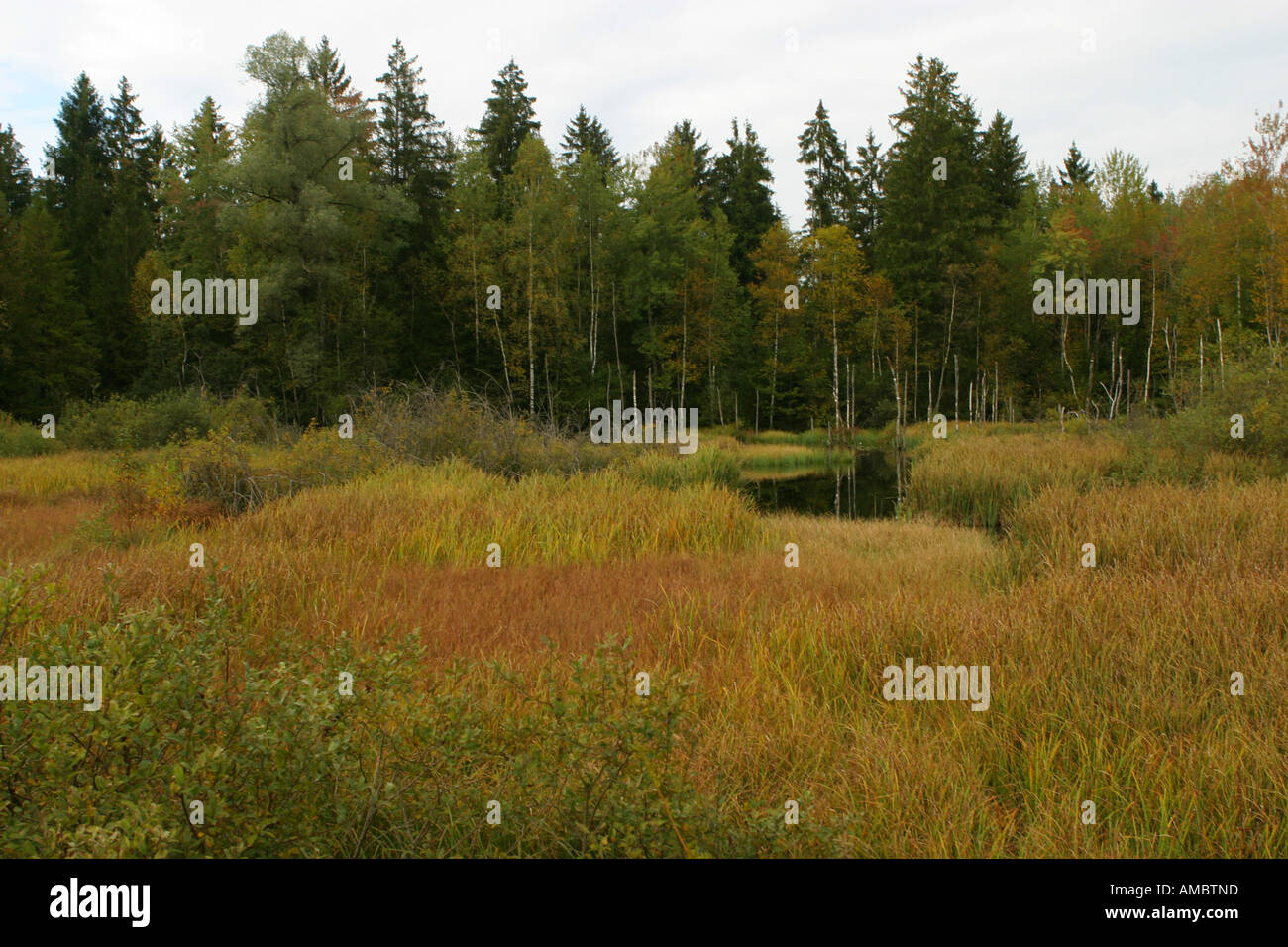 Fall scene vibrant colours hi-res stock photography and images - Alamy