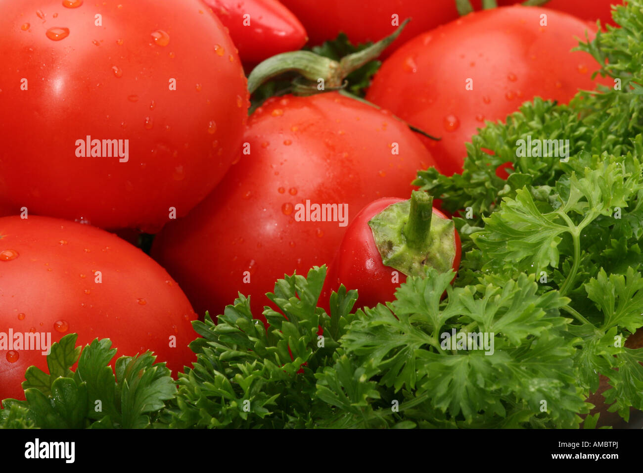 Ripe red cherry tomatoes with green parsley vegetables veggies full background closeup nobody ...