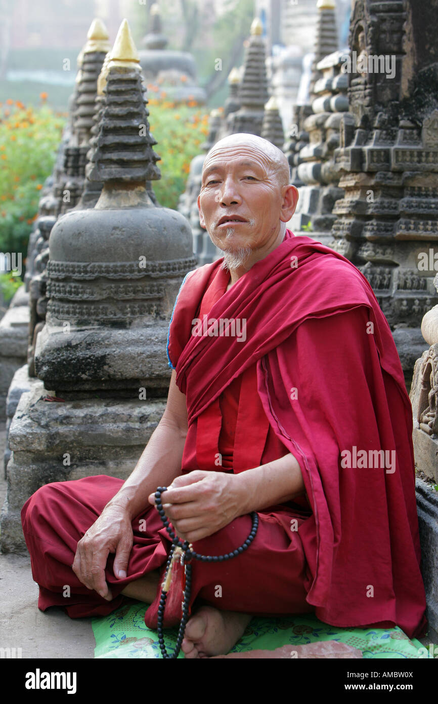 India, Bodhgaya: buddhist monk praying in the garden of Mahabodhi ...