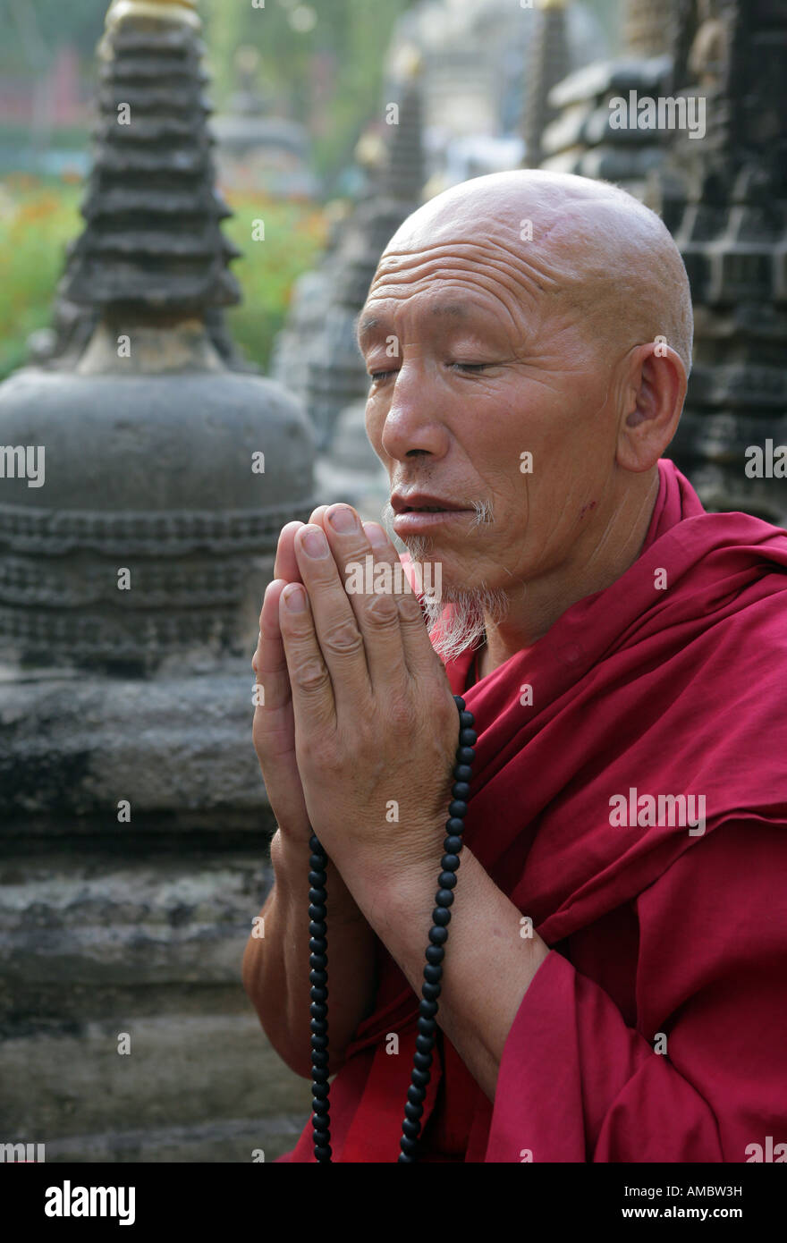 India, Bodhgaya: buddhist monk praying in the garden of Mahabodhi ...