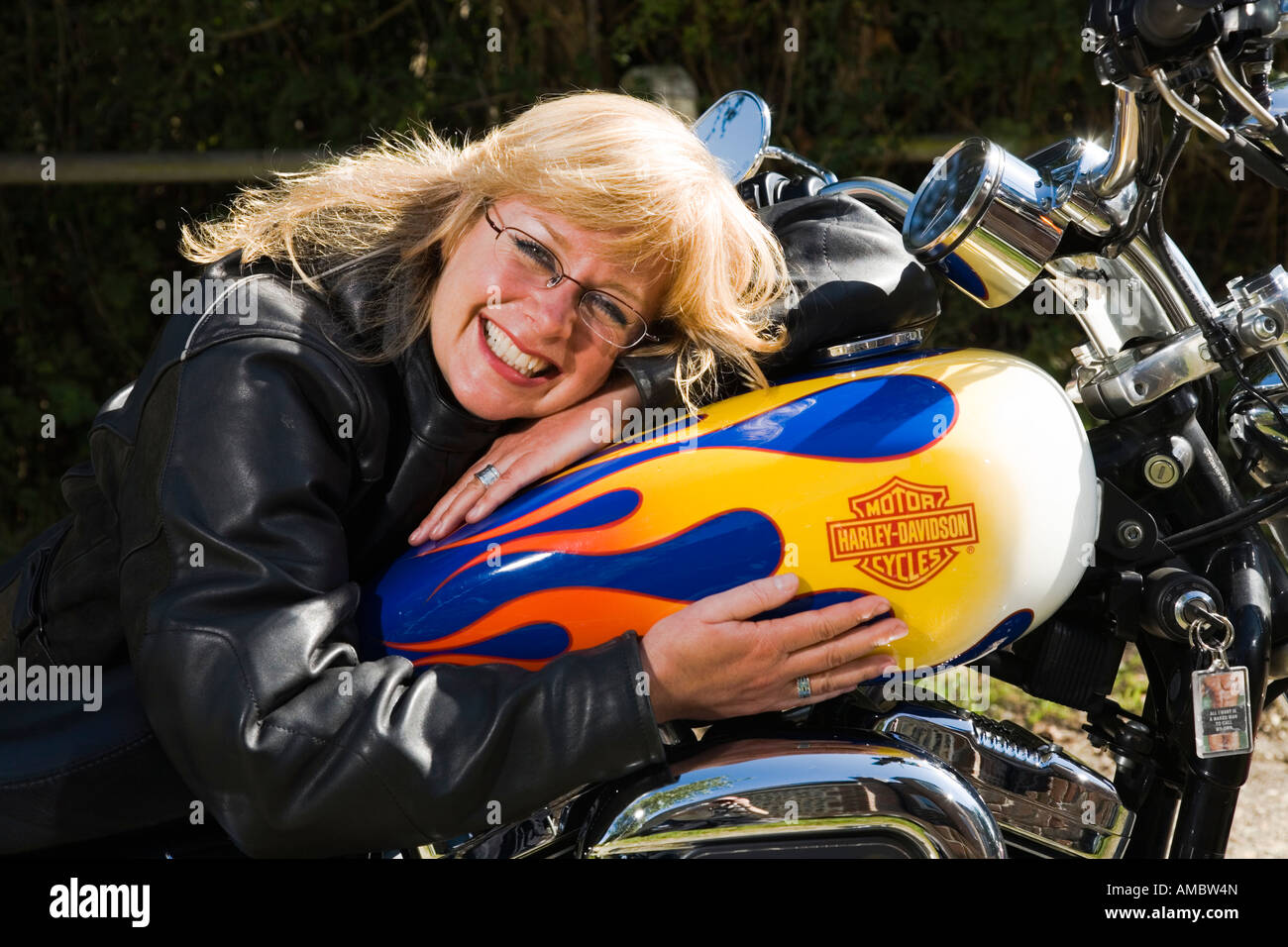 Harley davidson sportster 1200 custom hi-res stock photography and ...