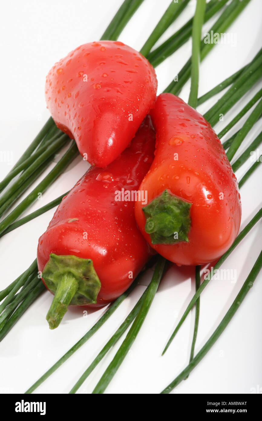 Red chillie peppers with green chives on white background with drops of ...