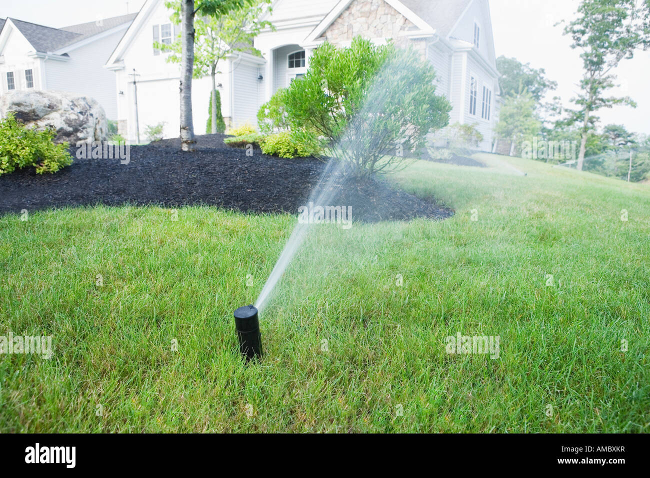 Water sprayed from sprinkler hi-res stock photography and images - Alamy
