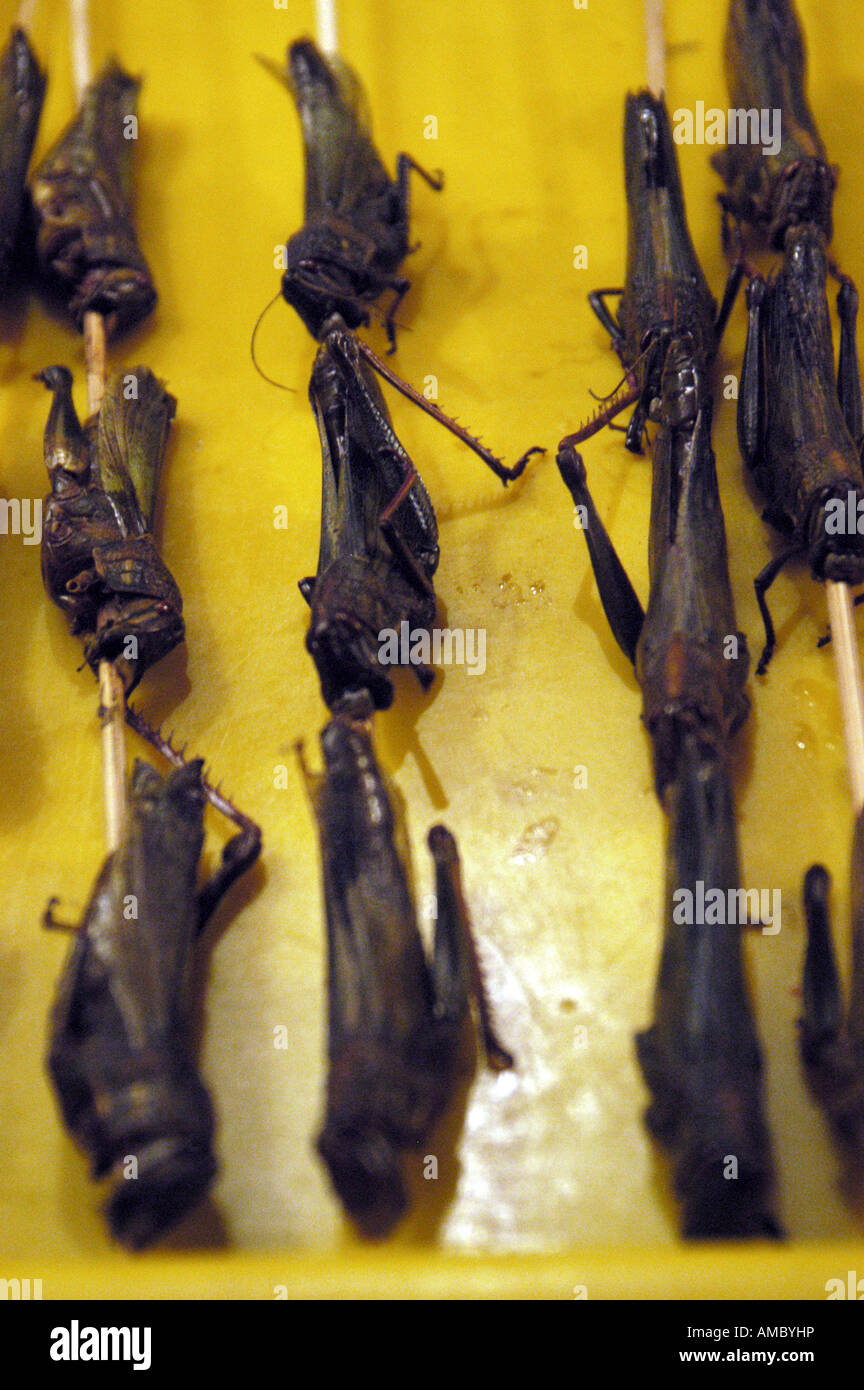 Skewered insects hi-res stock photography and images - Alamy