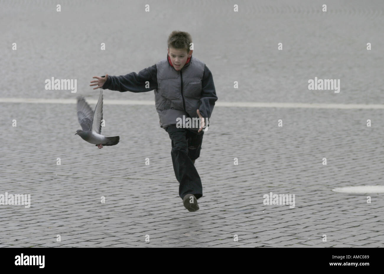 Boy chasing bird hi-res stock photography and images - Alamy