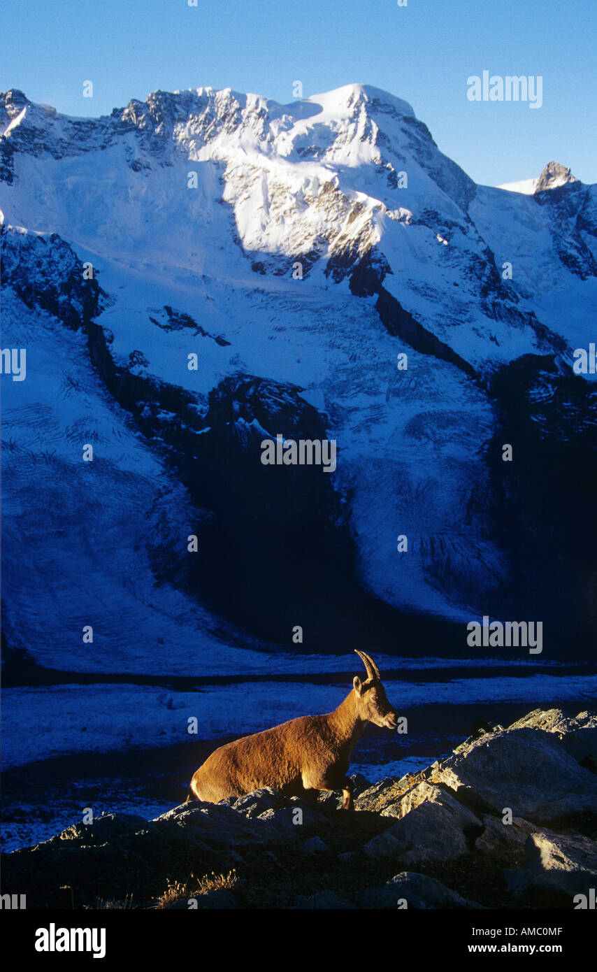 Monte Rosa alps mountain Stock Photo - Alamy